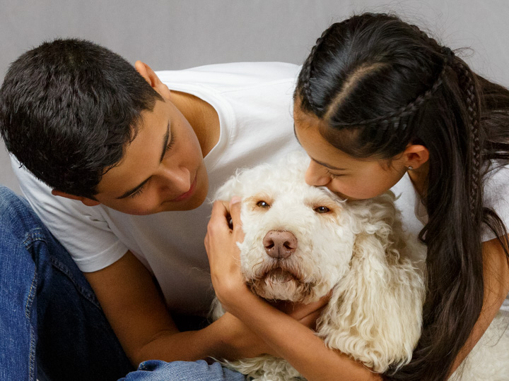 Testimonials – HOUSE OF PAWS